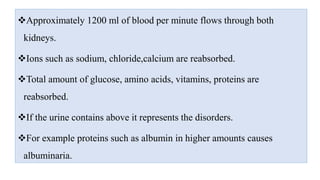 Drugs used on urinary system | PPTX