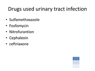 drugs used UTI.pptx