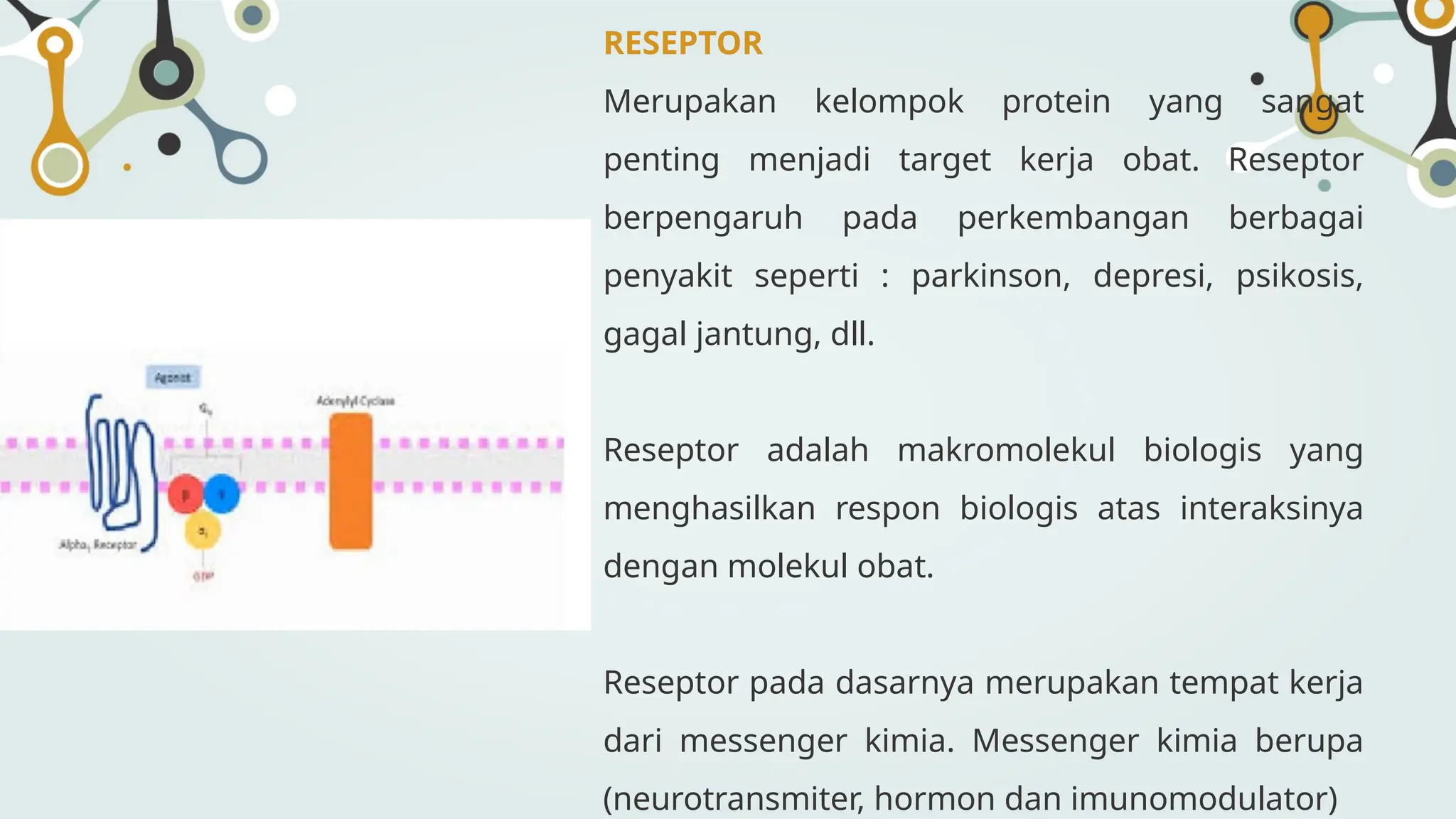 DRUG TARGET DALAM ILMU KIMIA MEDISINAL.pptx
