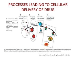 Drug target & delivery system | PPTX