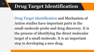 Drug target identification | PDF