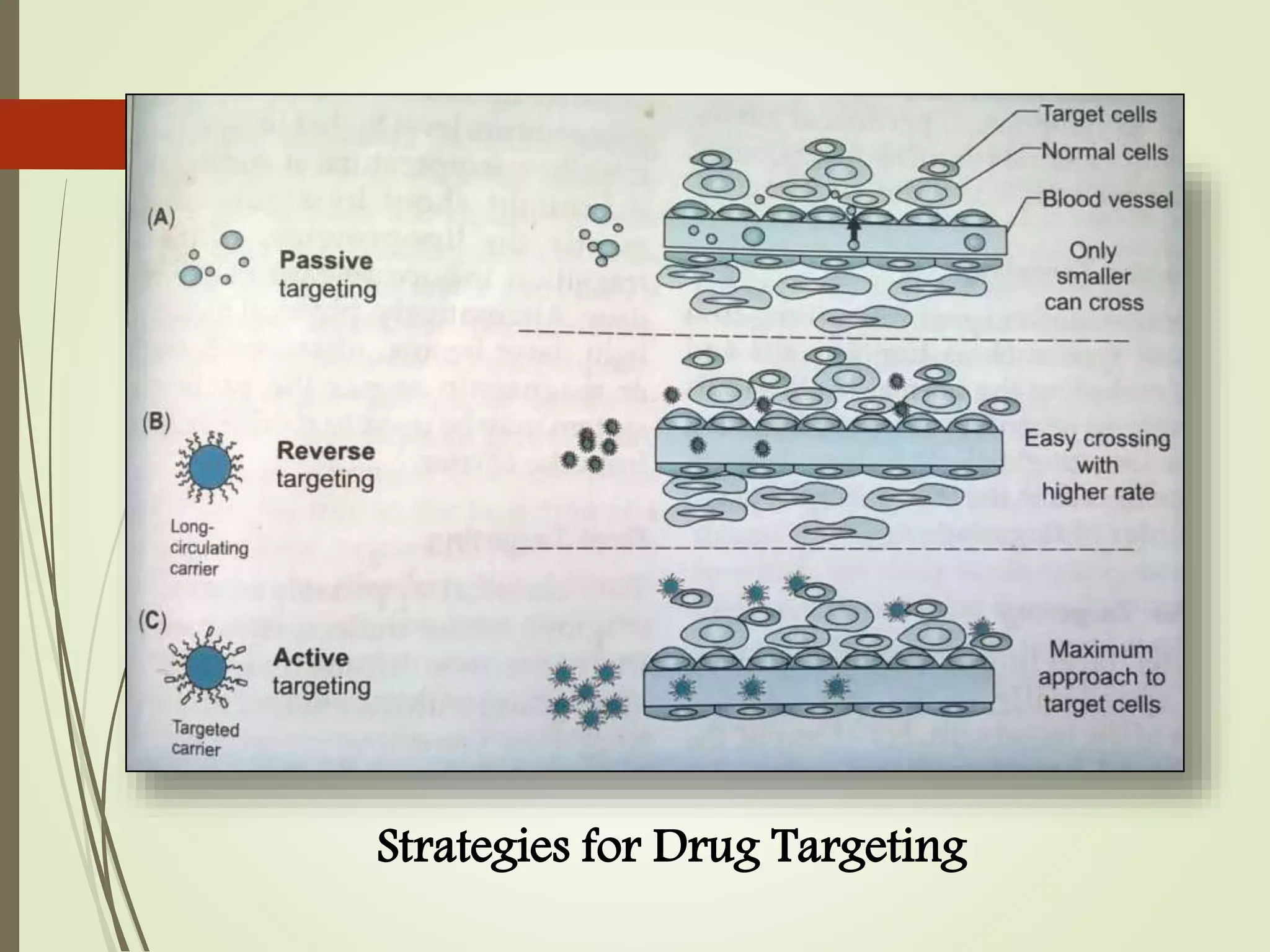 Drug targeting | PPTX
