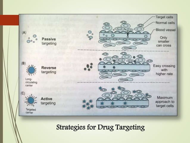 Drug targeting | PPT
