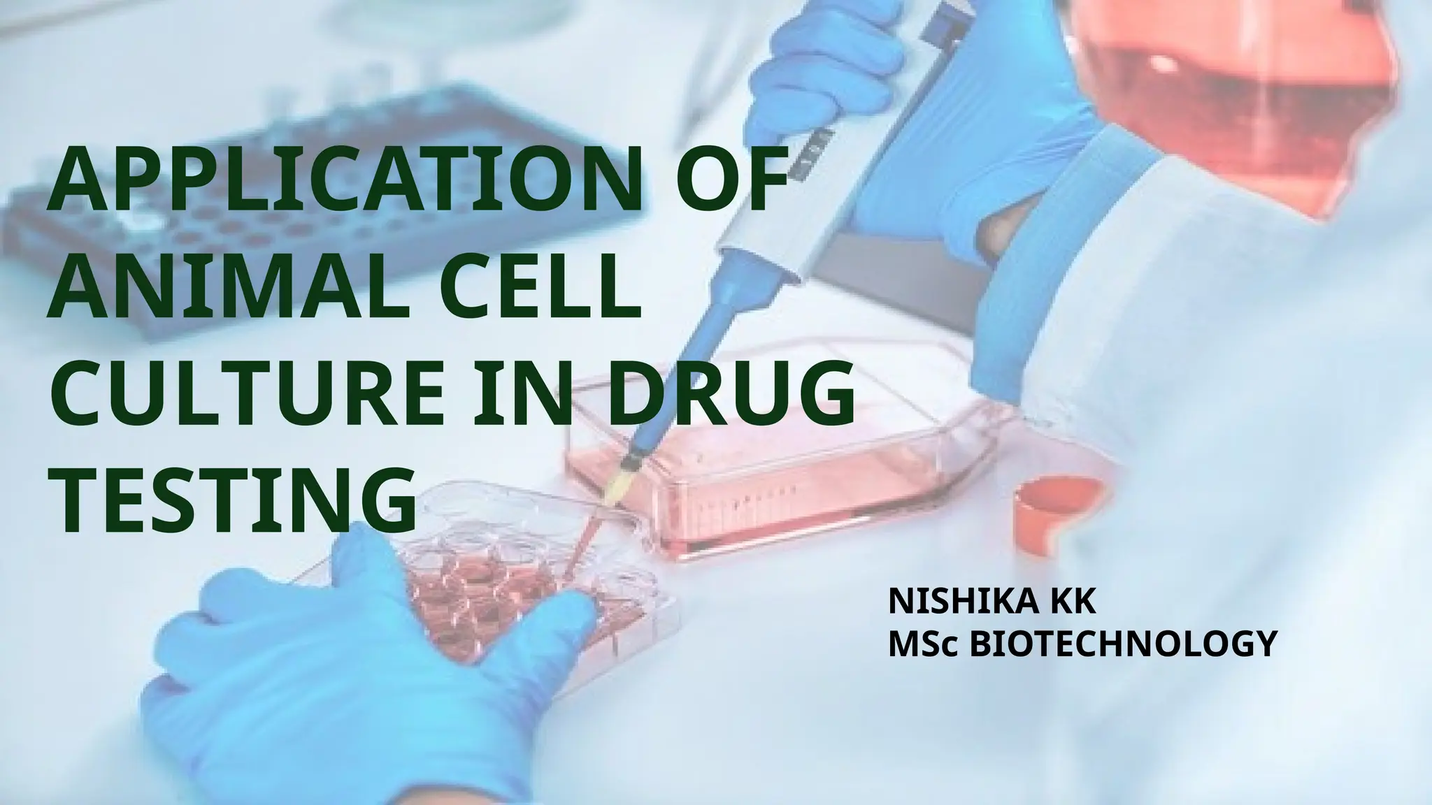 Application of animal cell culture in drug testing | PPTX