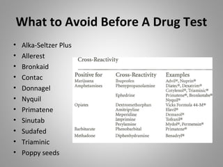 Drug testing in the workplace | PPT