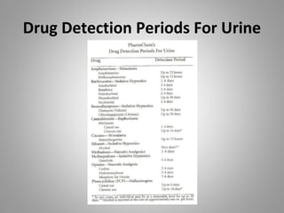 Drug testing in the workplace | PPT