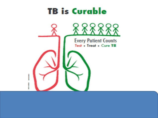 Drug therapy for TB | PPT