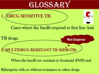 Drug therapy for TB | PDF