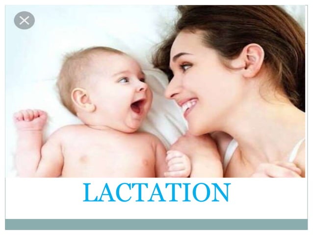 Drug therapy in pregnancy and lactation | PPTX | Pregnancy | Reproductive Health