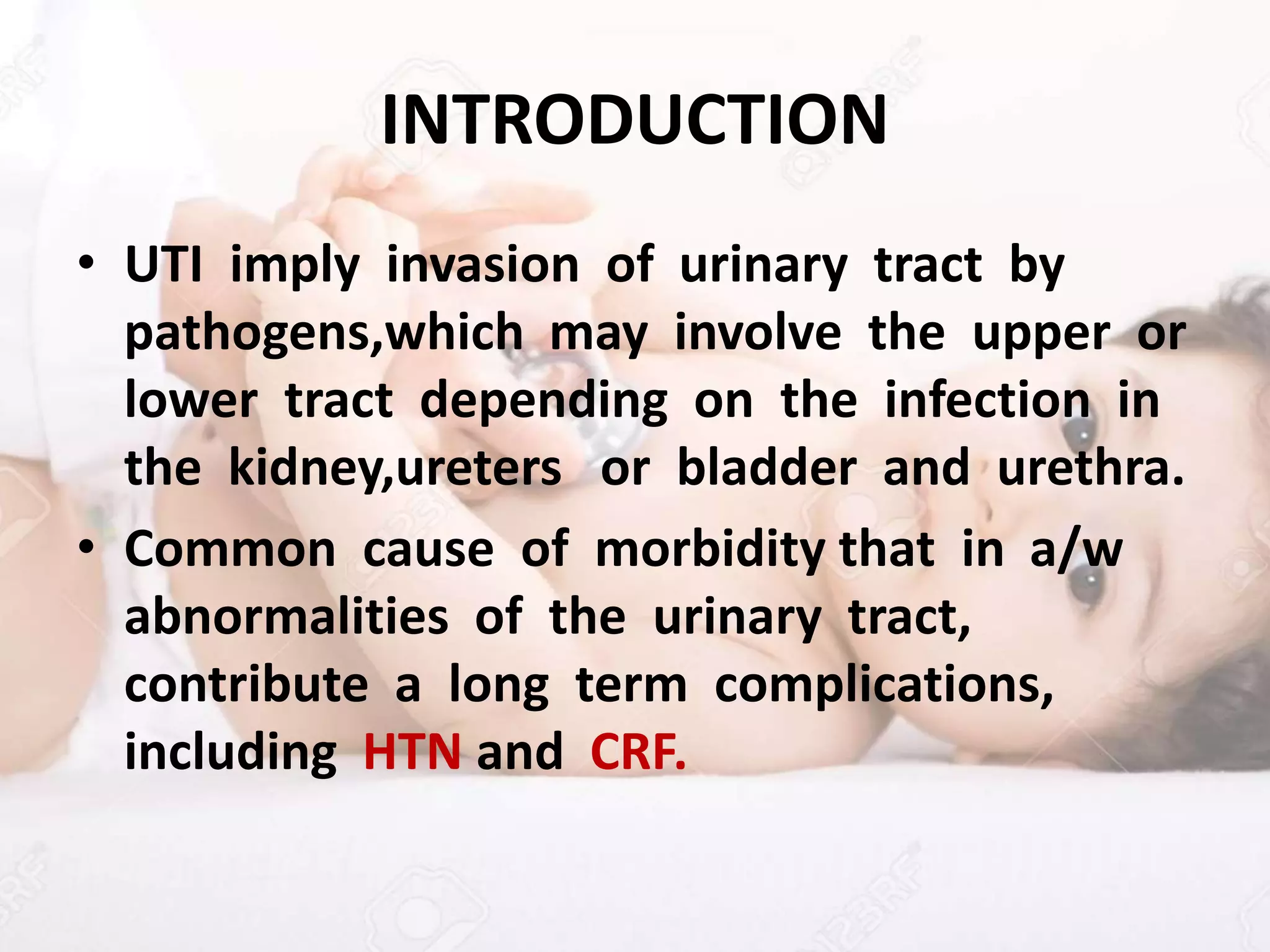 Drug therapy in uti in children | PPTX