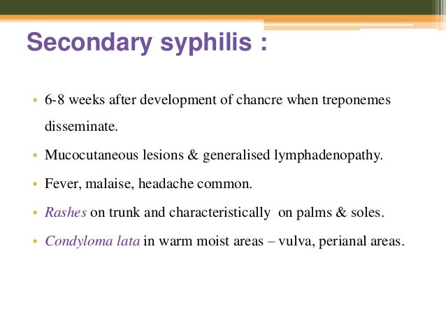 Drug therapy of syphilis