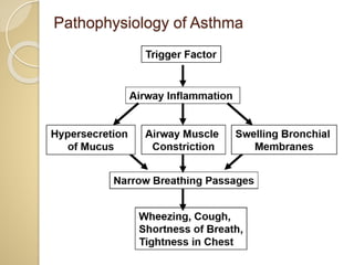 Drug therapy used in asthma | PPTX | Lung and Respiratory Health | Diseases and Conditions