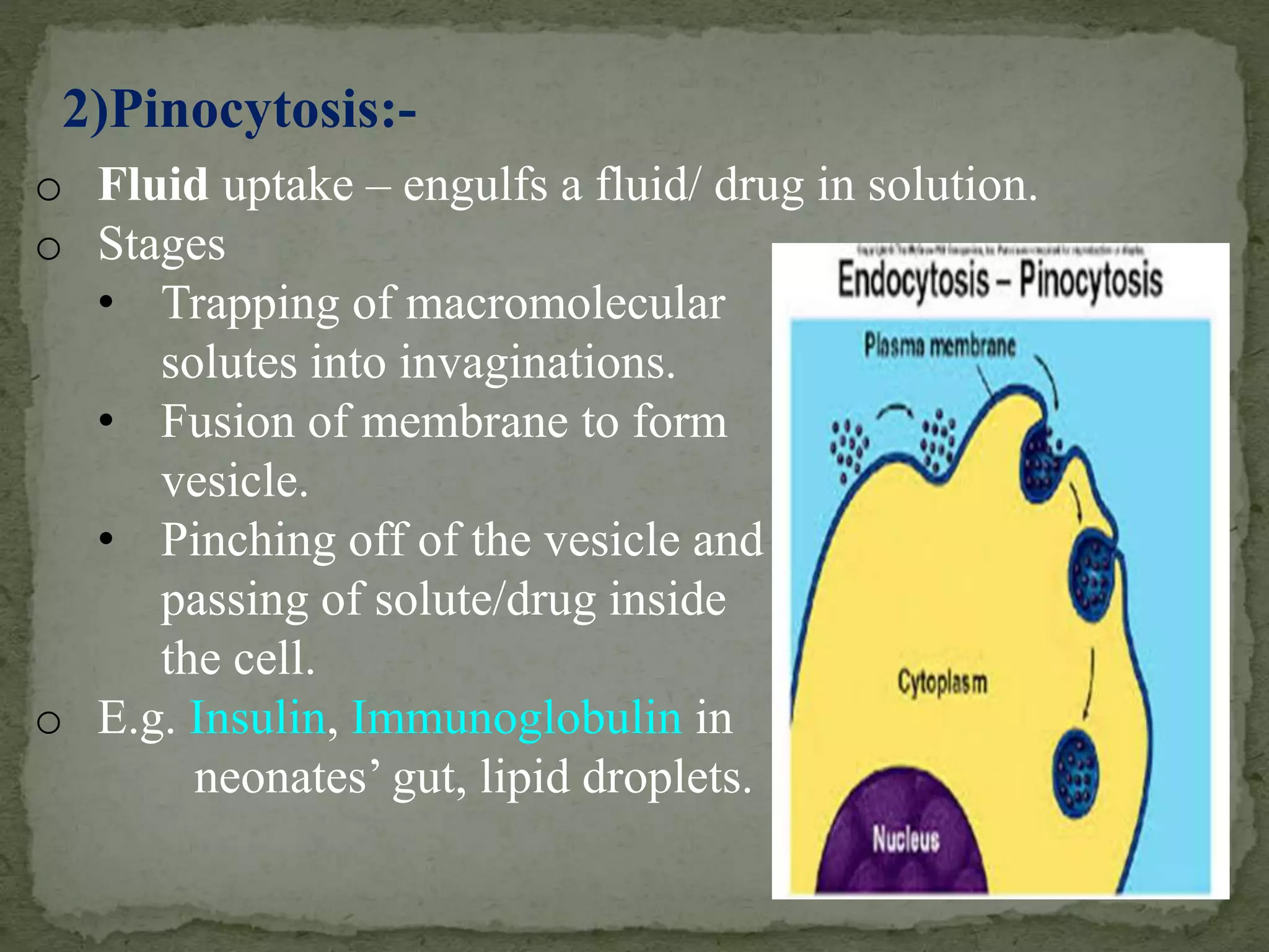 Drug transport across cell membrane. | PPTX