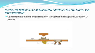 Drug Transport and drug target.pptx