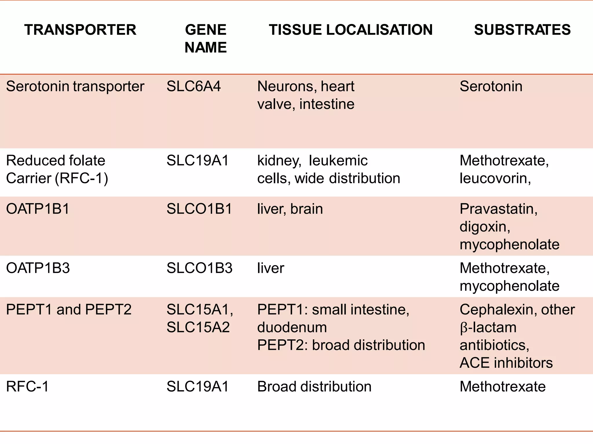 Drug transporter polymorphism | PDF