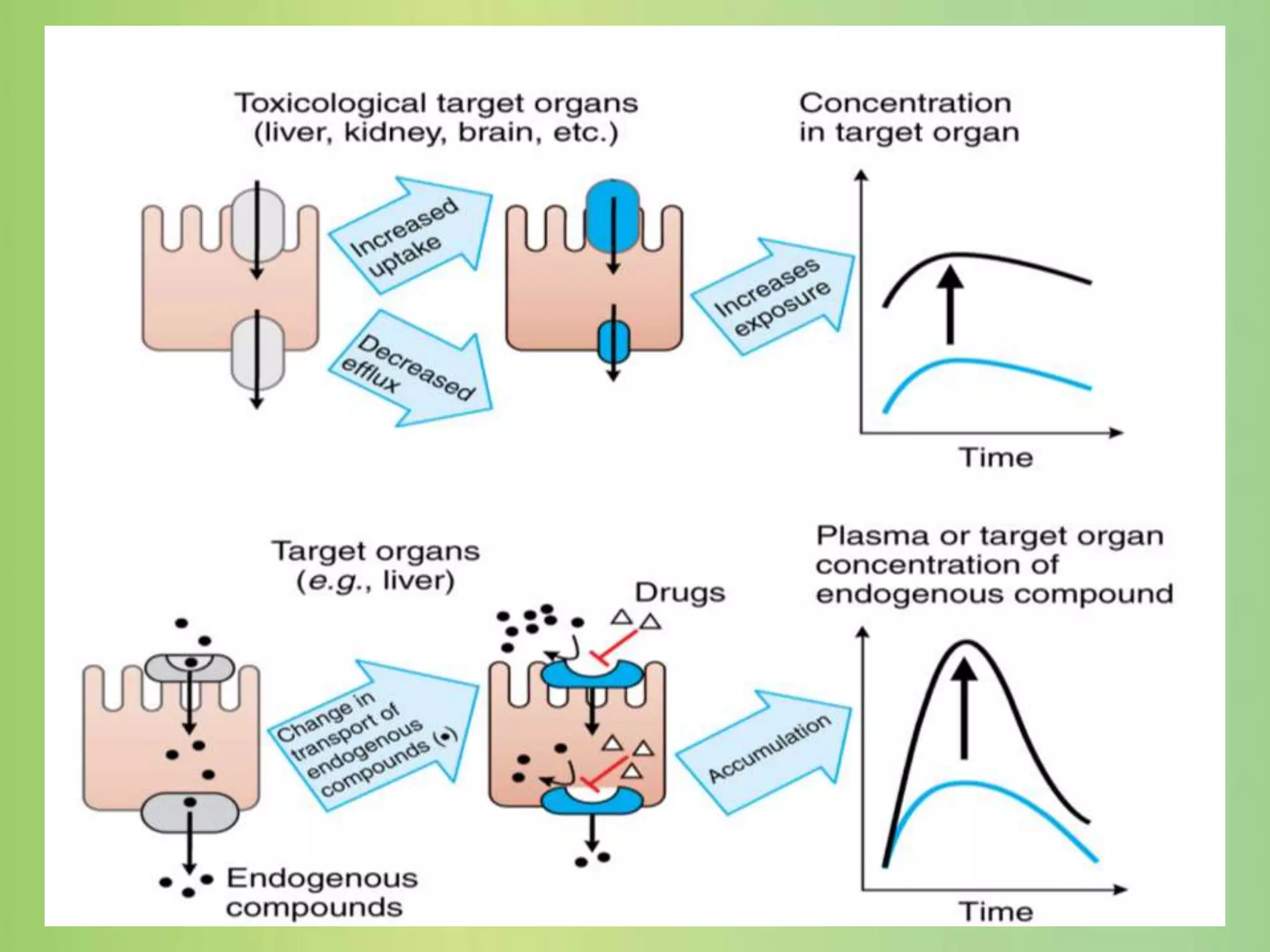 Drug transporters | PPTX
