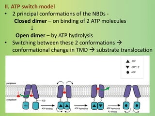 Drug transporters | PPTX