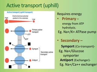 Drug transporters | PPTX