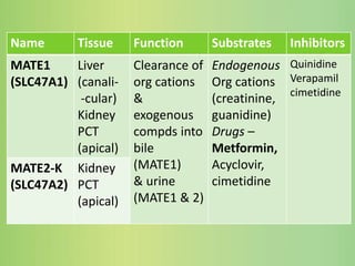 Drug transporters | PPT