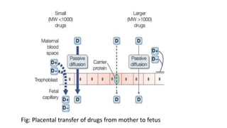 drug use during pregnancy and lactation.pptx