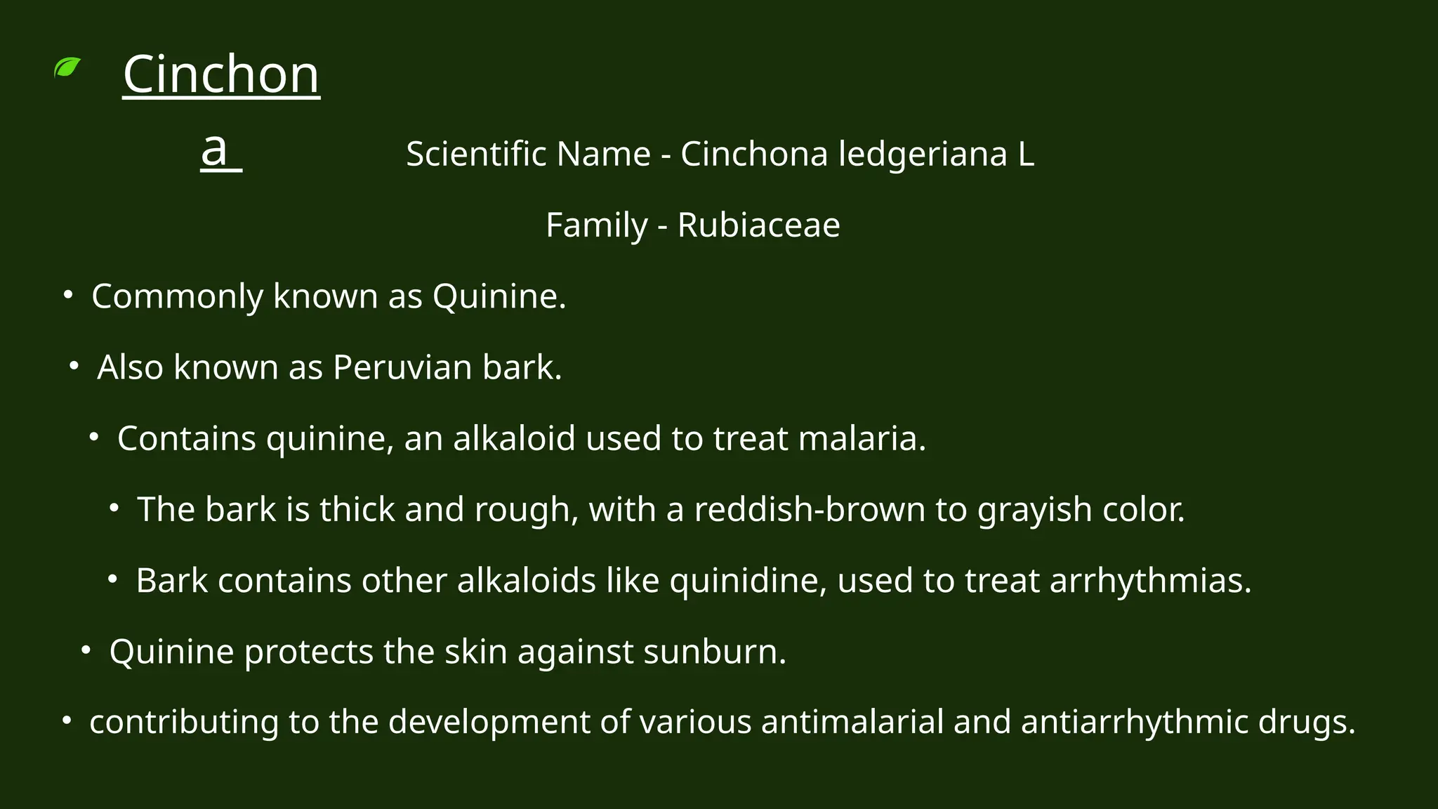 DRUG YIELDING PLANTS.pptx @Botany carrier | PPTX