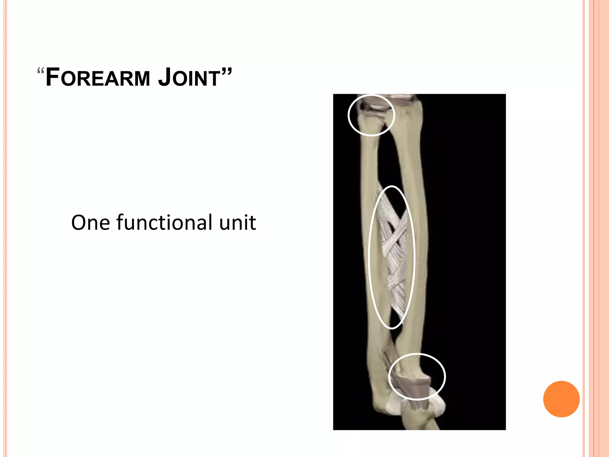 Druj and tfcc injuries f | PPTX