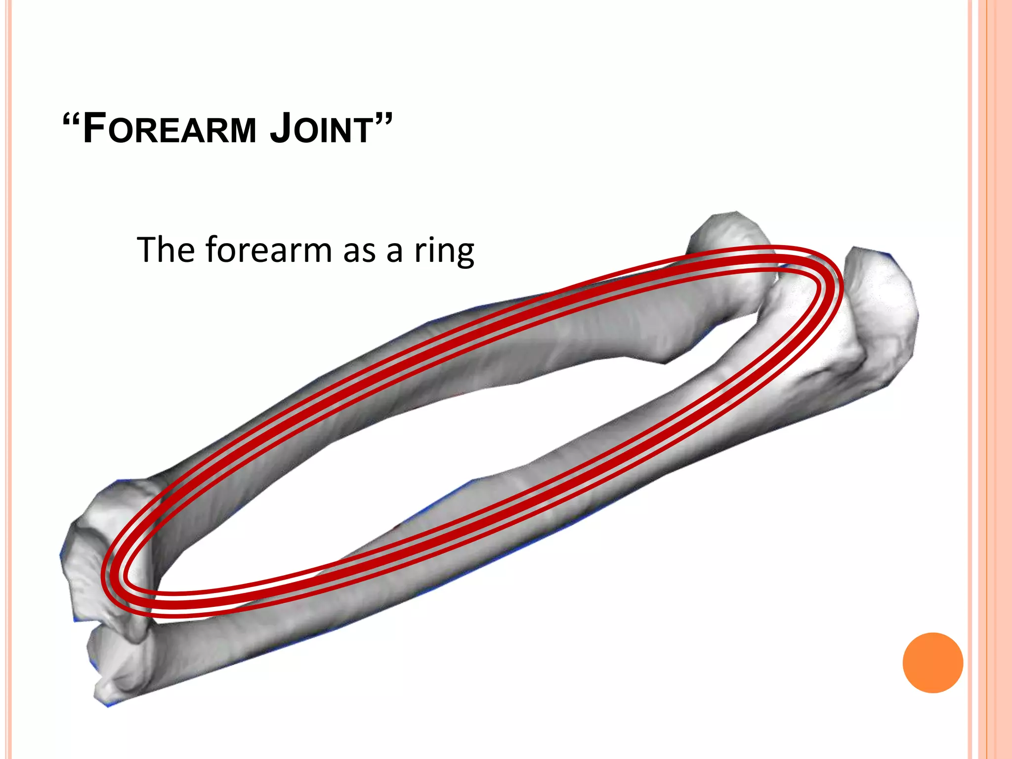 Druj and tfcc injuries f | PPTX