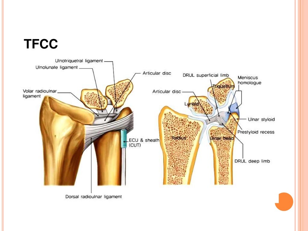 Druj and tfcc injuries f