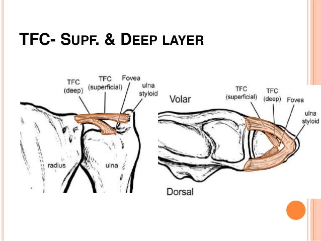 Druj and tfcc injuries f