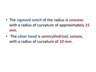 Distal Radioulnar Joint (DRUJ) Injuries | PPTX