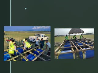Drum Bamboo Raft, its use in flood time as a improvised floating device ...