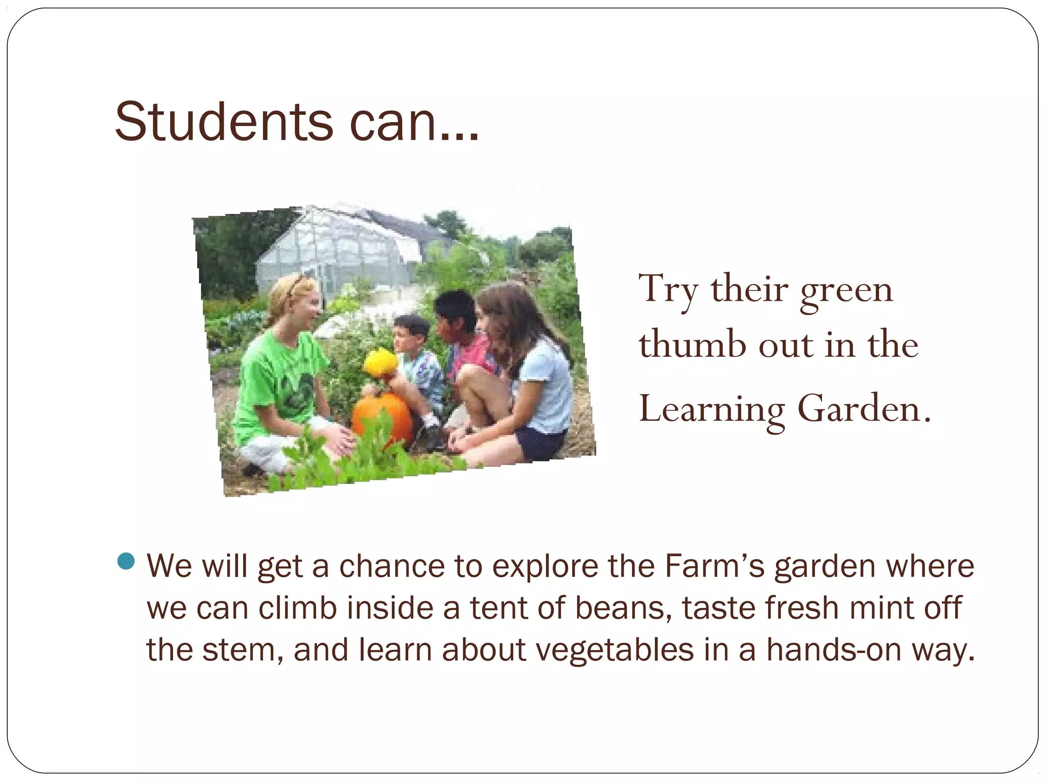 Drumlin farm field trip presentation | PPT