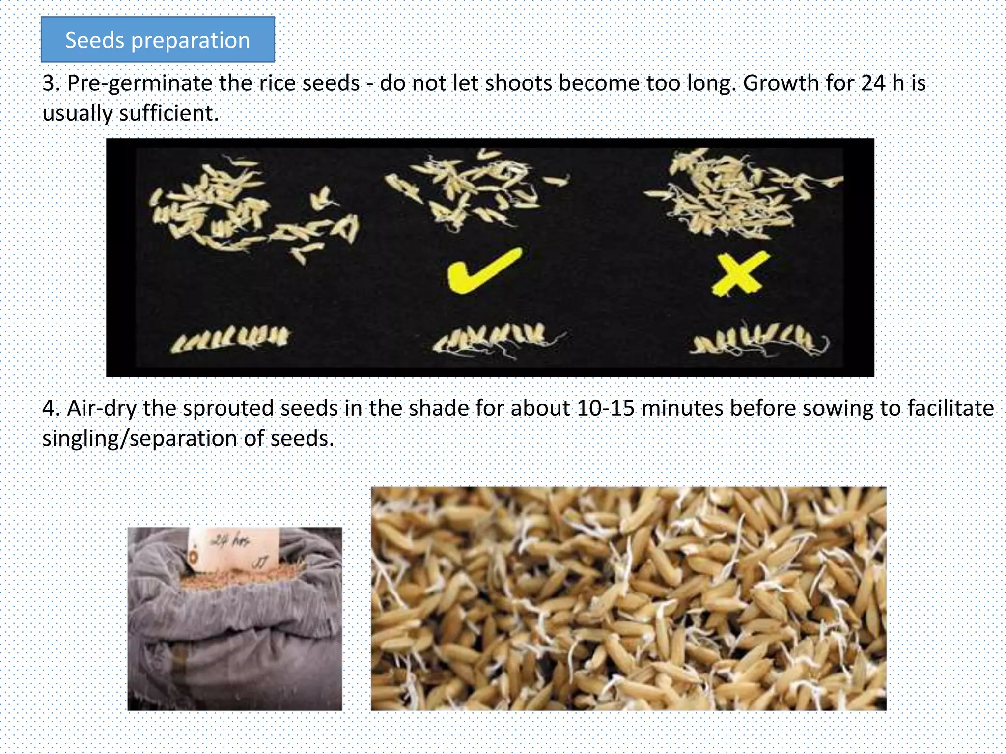 Working function of Drum Seeder for direct seeding of paddy | PPTX
