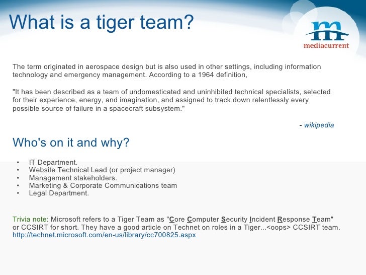 What is a tiger team?