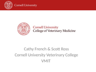 drupal ci cd concept cornel univercity.pptx