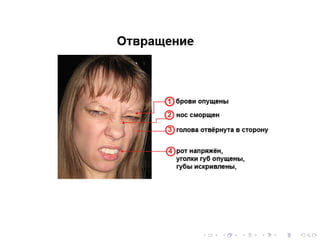 Drupal. Advantages and disadvantages. Igor Rodionov. | PPT