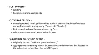 Drusen characterization | PPTX