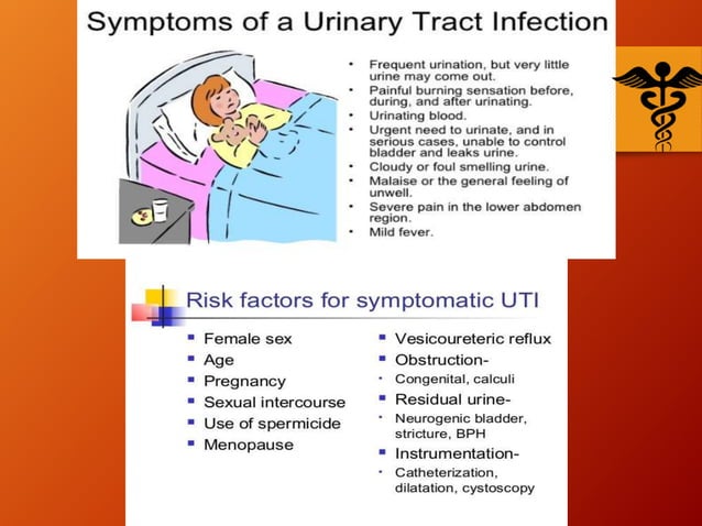 Urinary Tract Infection | PPT