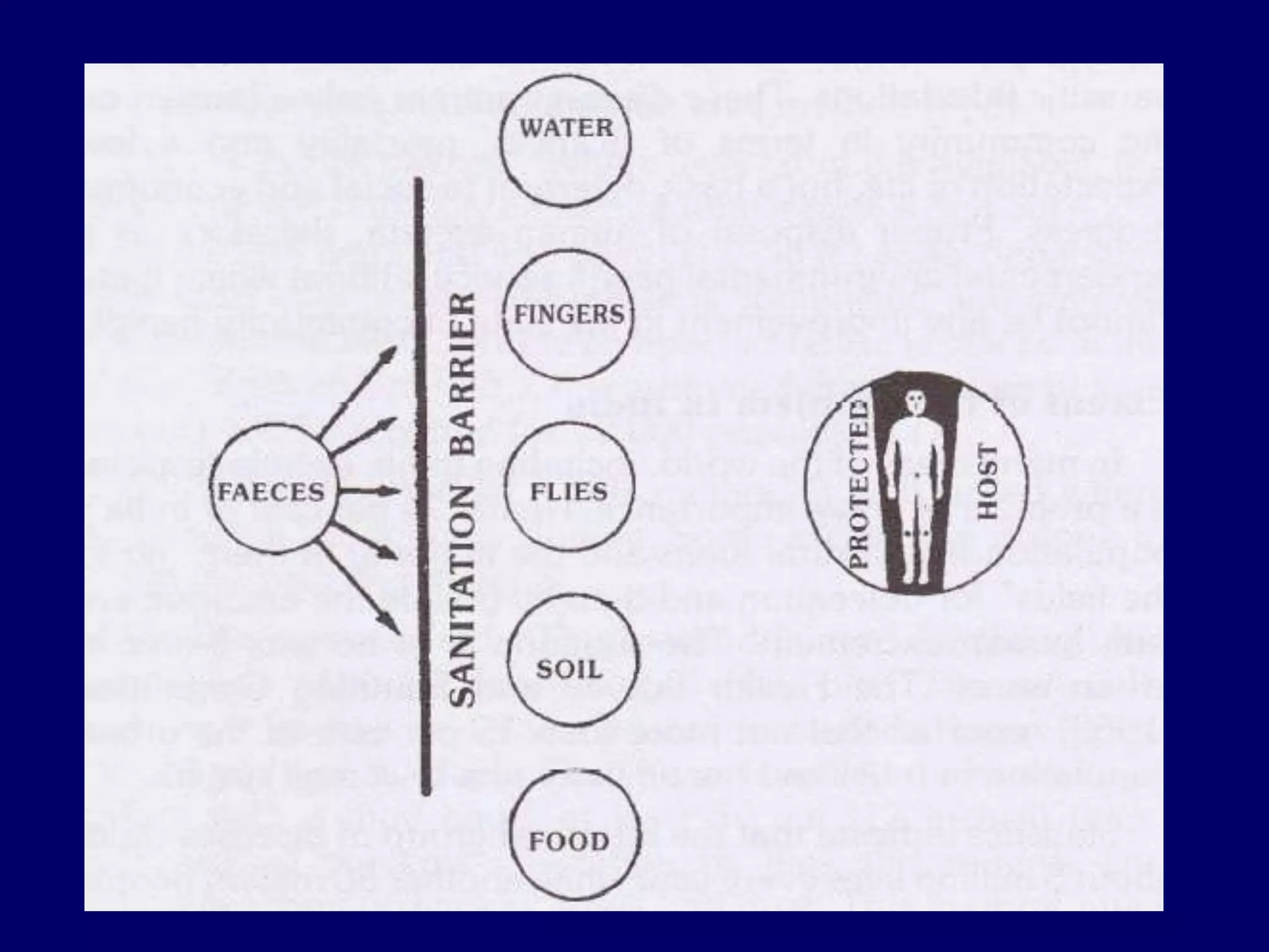 PPT for Excreta disposal.ppt | Digestive Disorders | Diseases and ...