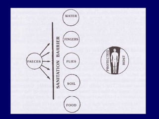PPT for Excreta disposal.ppt | Digestive Disorders | Diseases and ...