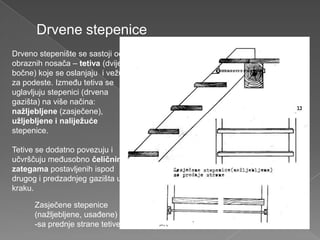 Drvene stepenice ii dio | PPTX