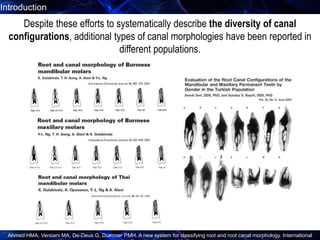 New Root Canal Classification System | PPTX