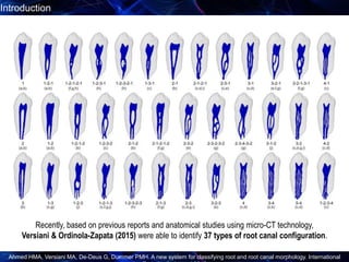 New Root Canal Classification System | PPTX