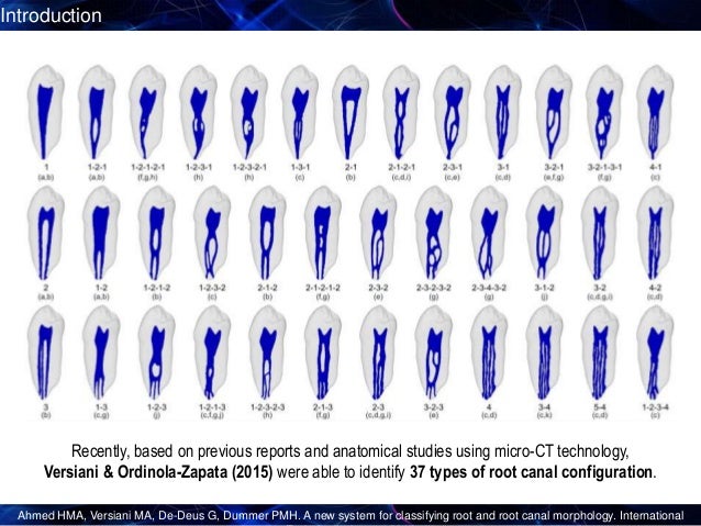 New Root Canal Classification System