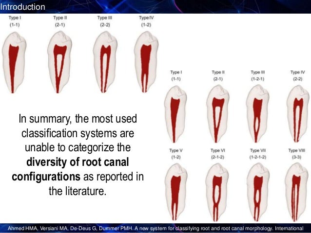 New Root Canal Classification System