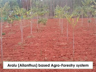 Doubling farmers income through agroforestry systems | PDF