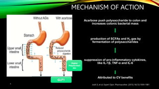 alpha glucosidase inhibitor | PPTX