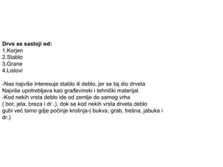 Drvo | PPT
