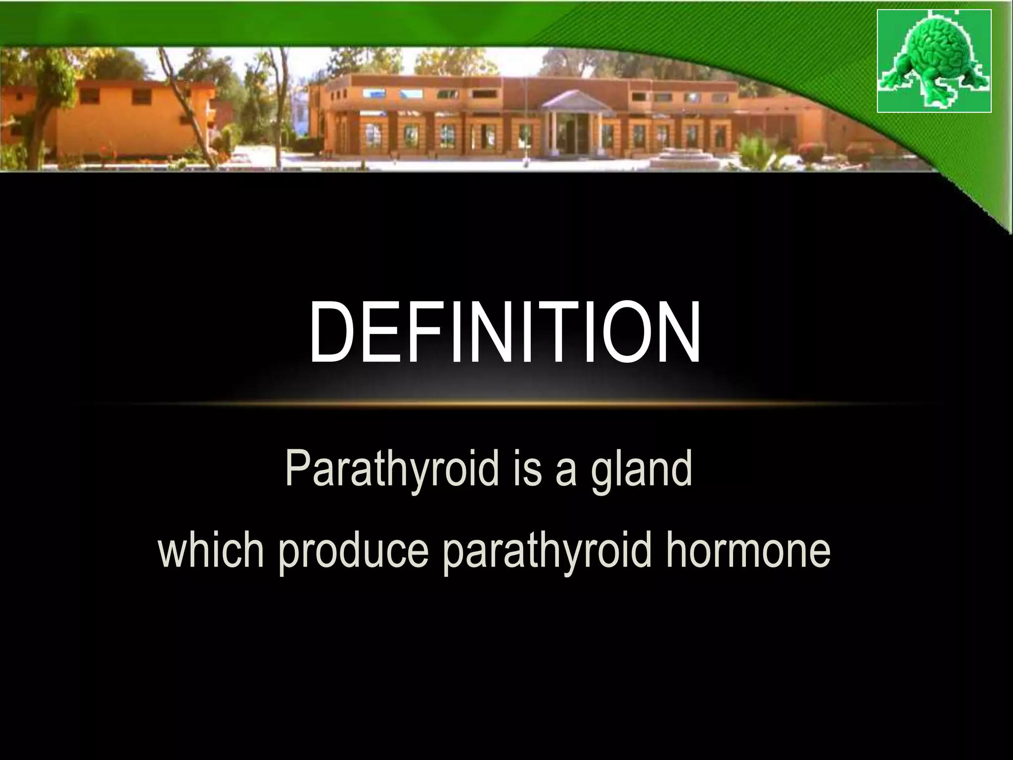 Parathyroid Gland | PPT