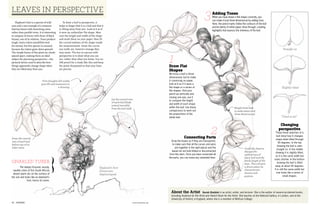 Drawing Botany feature | PDF